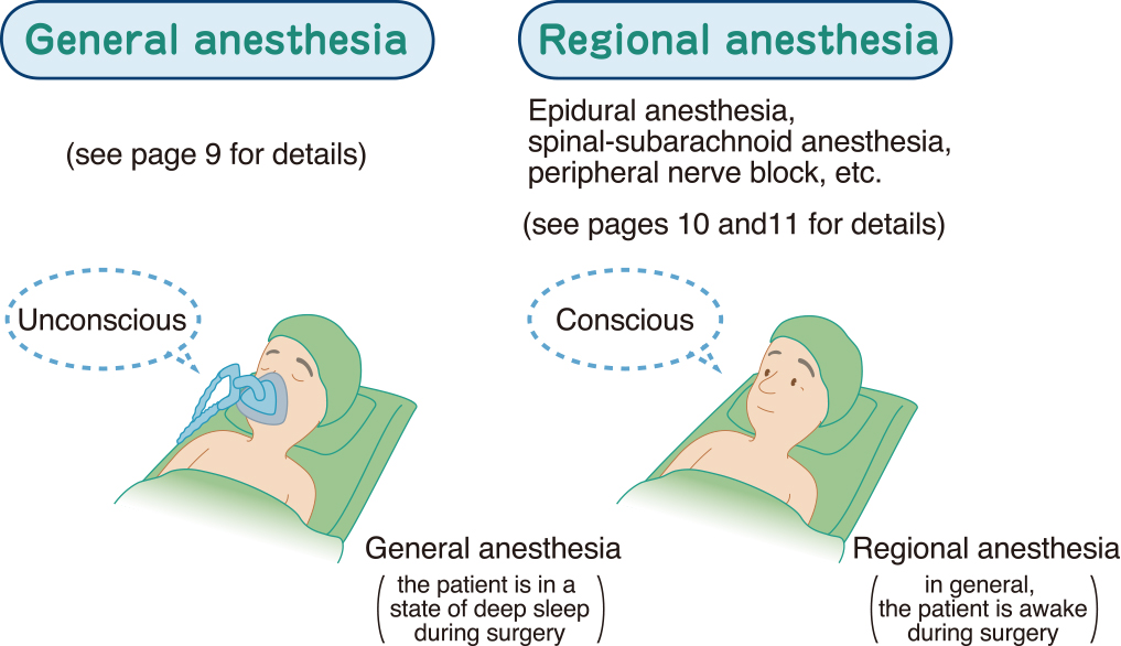 English Website - For Patients - Patient Guide to Anesthesia｜公益社団法人 日本麻酔科学会